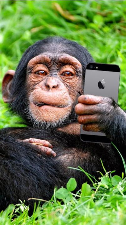 Журнал СКОРПИОН - 60