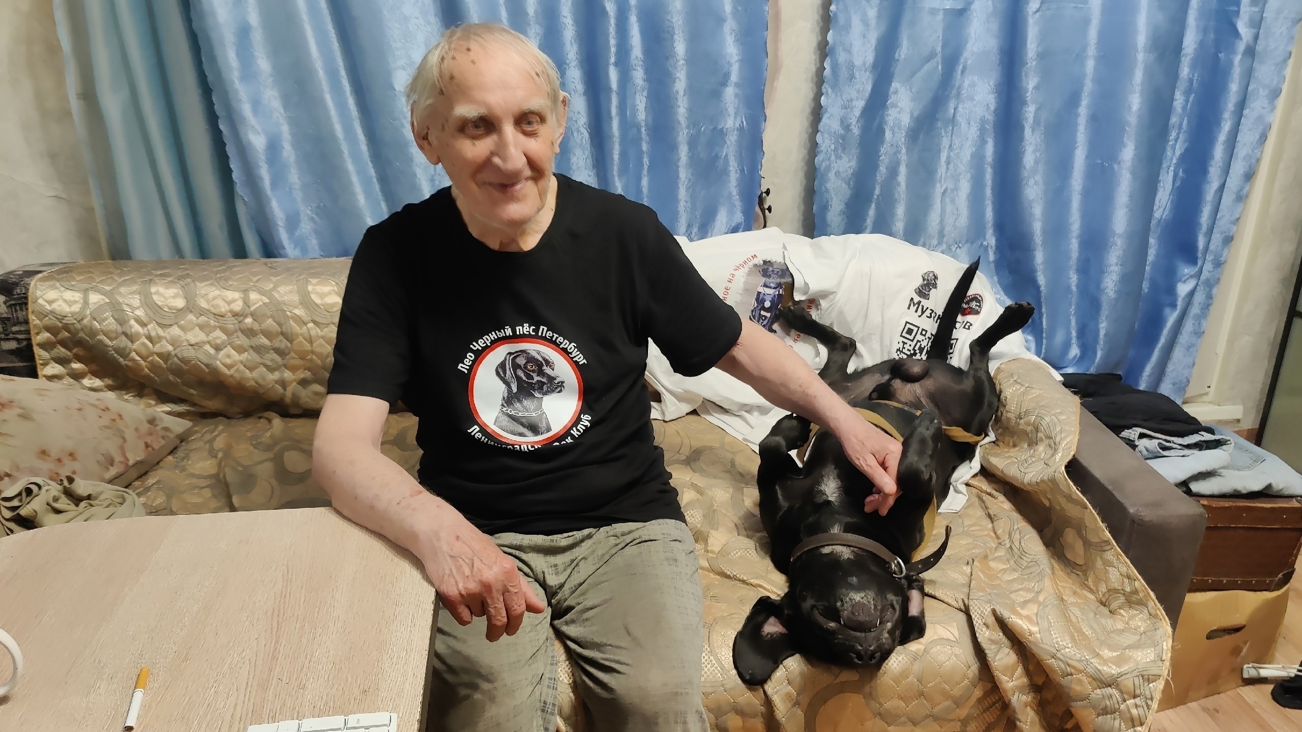 Моя Жизнь Кино 🎬 Музей Псов