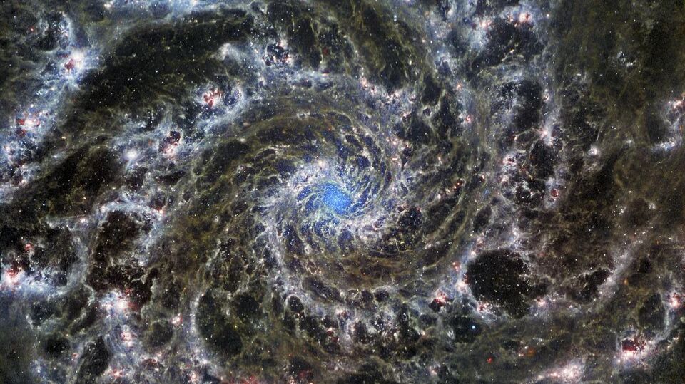 Бесконечная нежность - Elleya Project