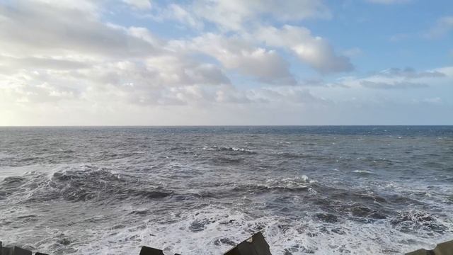 Мадейра_часть_2021-12-21