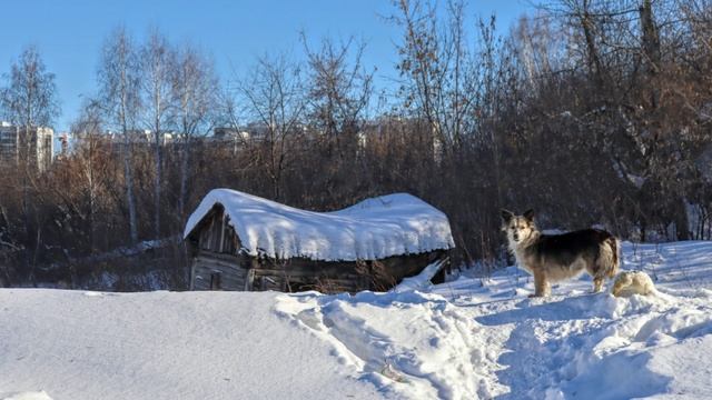 Жк Кемерово сити и новая дорога. Кемерово