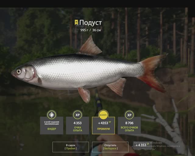 РУССКАЯ РЫБАЛКА 4 РР4 ВЬЮНОК ТРОФЕЙ ПОДУСТ