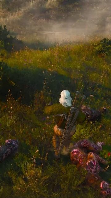 ГНИЛЕЦ НА РЕАКТИВНОЙ ТЯГЕ Я такого в The Witcher 3