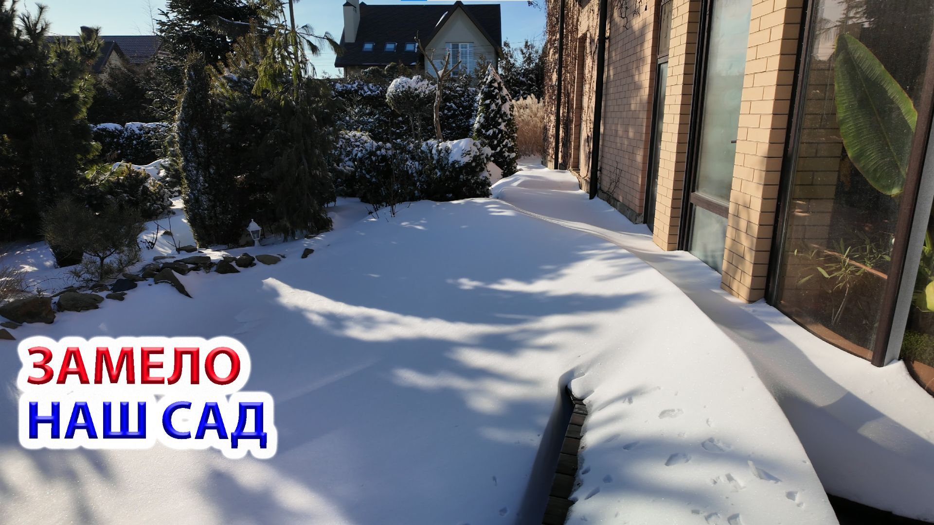 Замело наш сад в Ростове снегом. Снегопад 02.02.26