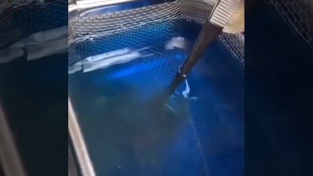 Ультразвуковая очистка кольца