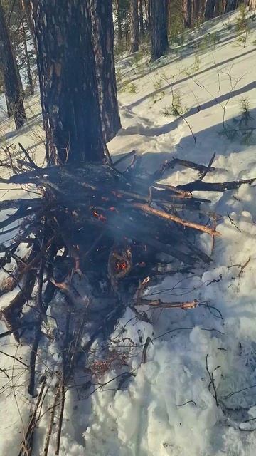 💖Ты нужен этому миру