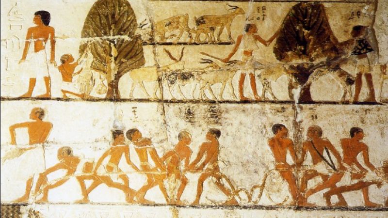 История древнего Египта (2022)