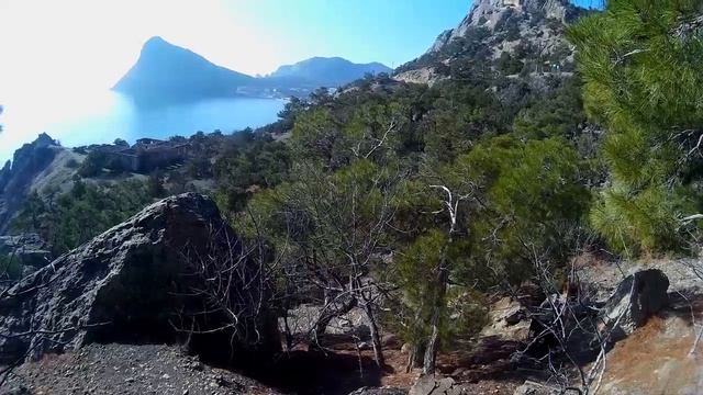 Дикие пляжи привлекают всё больше и больше. Тишина и спокойствие. Январь 2026.