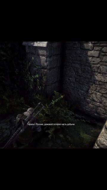 #witcher3 | Заказ: Неуловимый вор- расследование #games #rpg