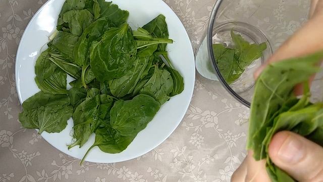 Подорожник вылечивает атрофический гастрит, язву, эрозии... Анна Лиана