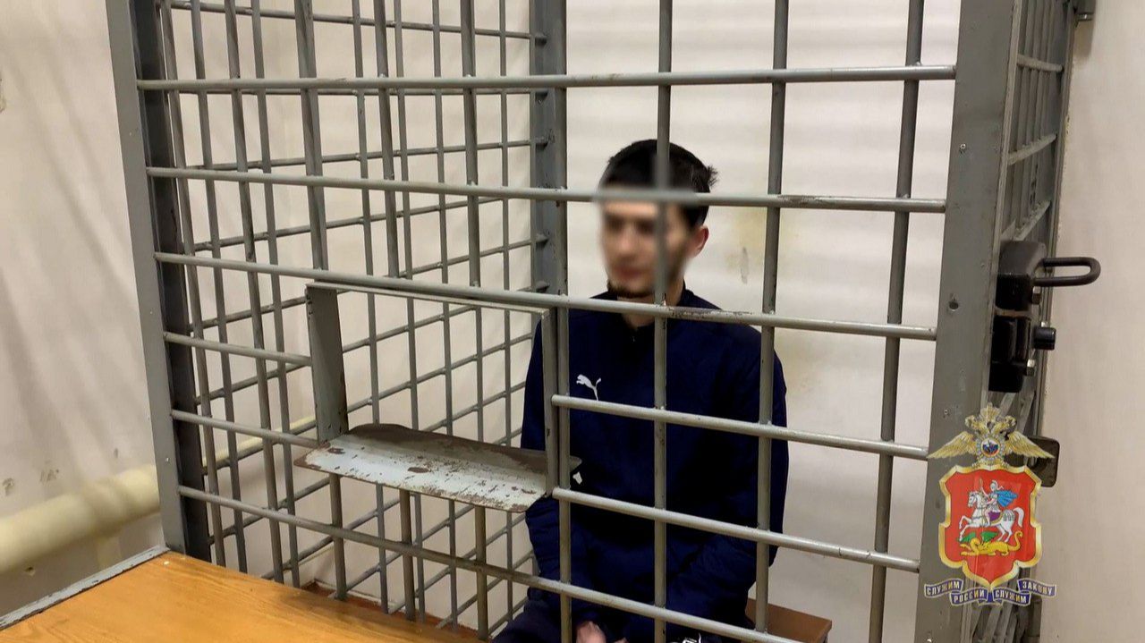 В Подмосковье задержан пособник мошенников, обманувших пенсионерку на миллион рублей