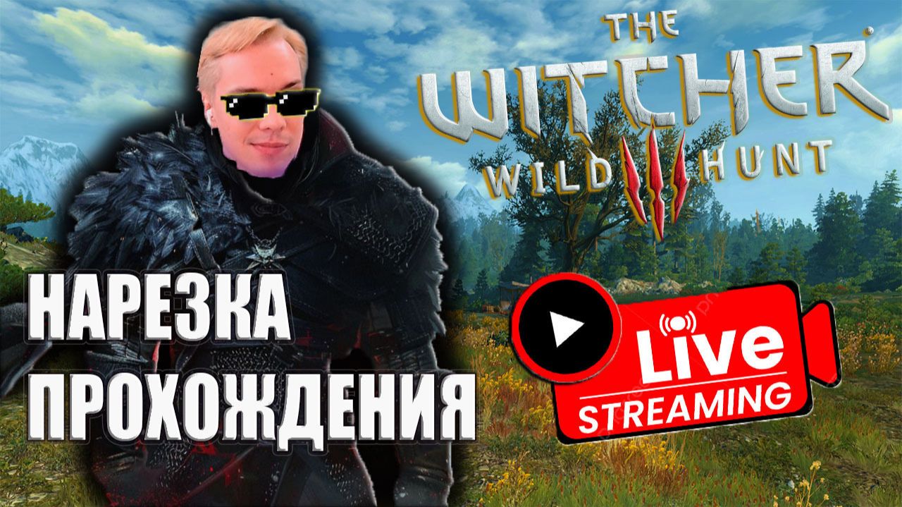 The Witcher 3 🩸МОЩНАЯ СТЫЧКА