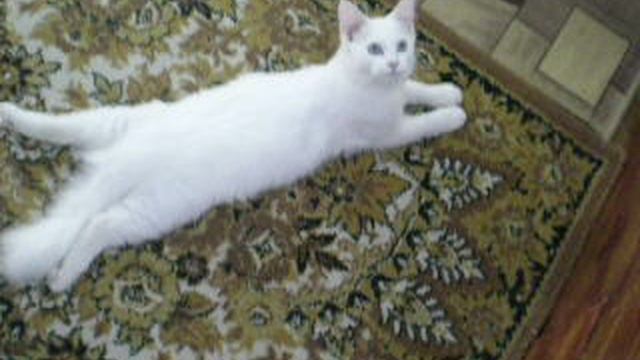 16.11.15г. Собираюсь в стационар