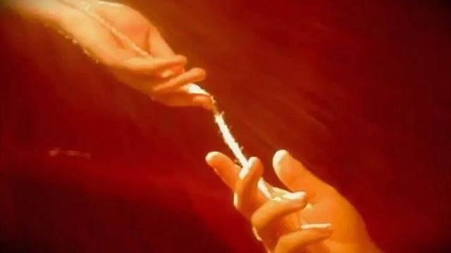 ОБОРВАННАЯ НИТЬ - Жанна Вишнякова Арс