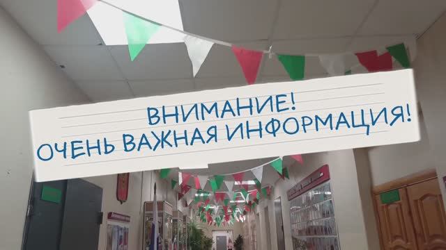 Пальгуева Е.М., МАОУ «Школа № 172» Нижний Новгород
