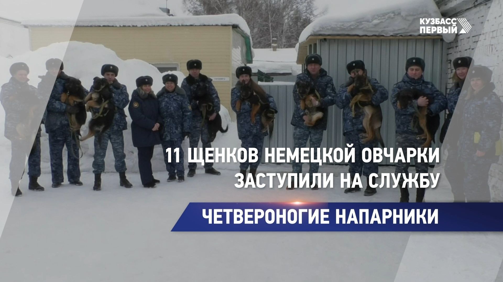 Четвероногие напарники