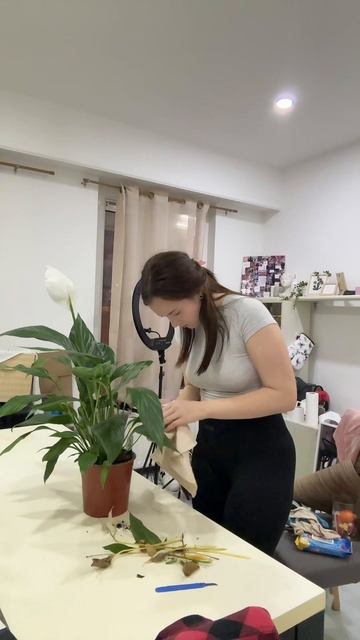 мой первый цветок в доме