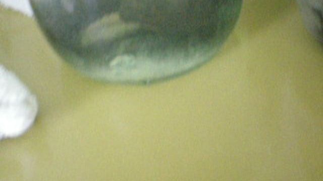 Мои пиявочки