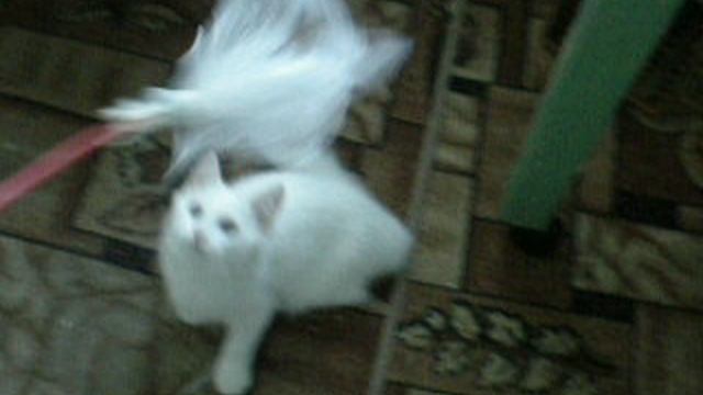 Конец августа 2015