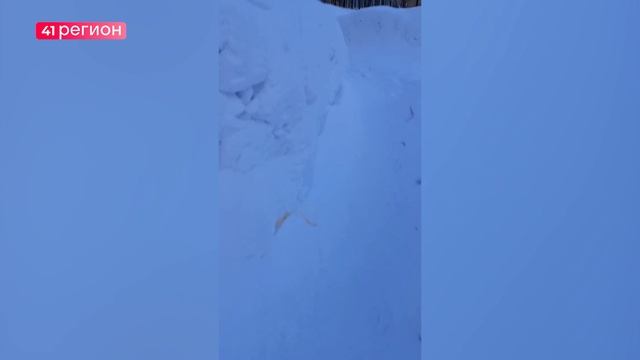 ЦЕЛЫЙ КВАРТАЛ ОСТАЁТСЯ ПОД СНЕГОМ В РАЙОНЕ «СИЛУЭТА» В ПЕТРОПАВЛОВСКЕ • ПРЯМАЯ РЕЧЬ