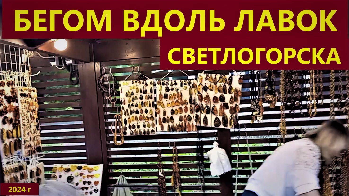 Бегом вдоль лавок  Светлогорска, 2024 г.