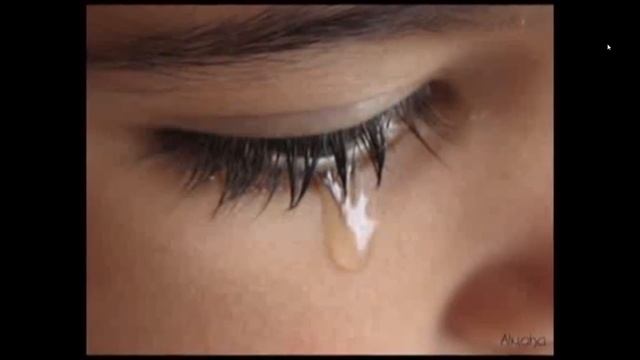 Ноктюрн На английском Песня 438-ая на канале