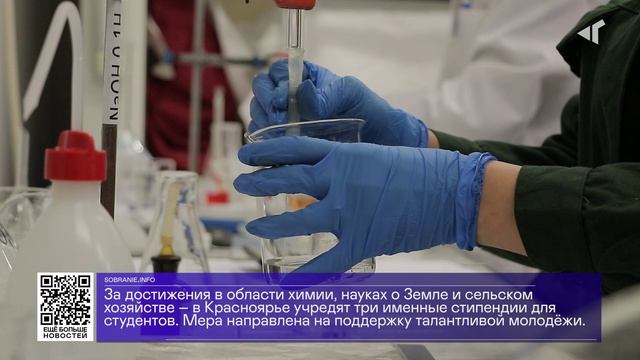 ДАЙДЖЕСТ «СЕВЕРНОГО ГОРОДА»,05.02.2026