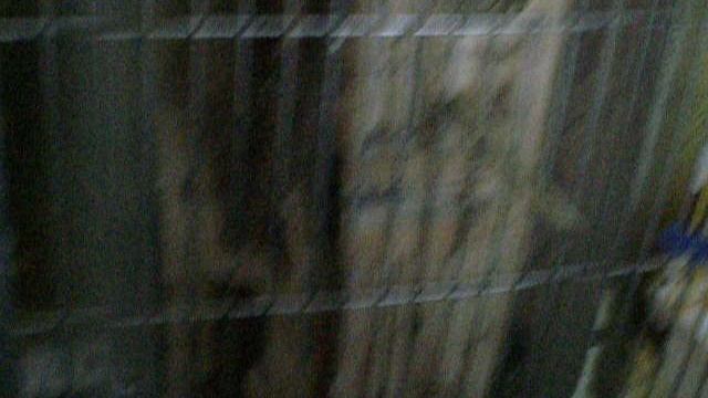 Птицы.май 12г.