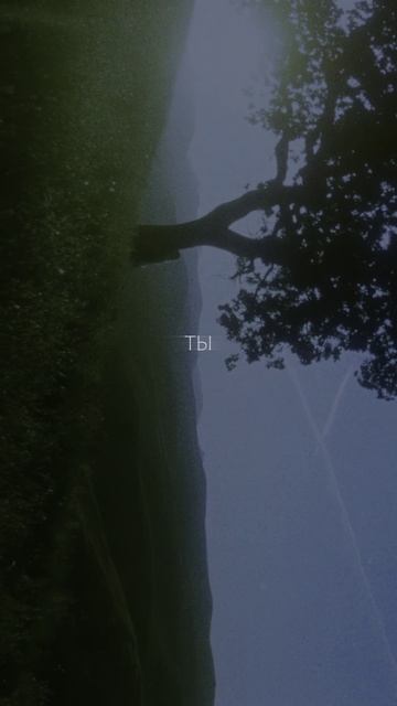 Real Smirnov - Вселенная