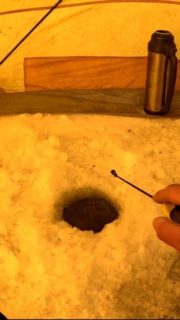 вся эта РЫБАЛКА ВСЕ РАДИ НЕЕ!!!