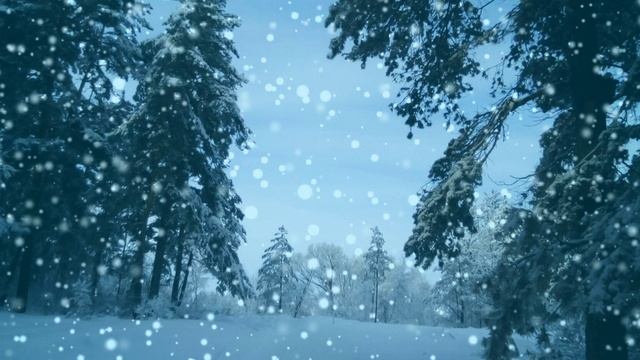 Футаж. Зимний пейзаж 152