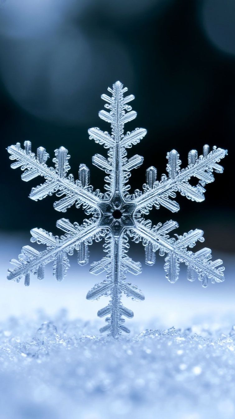 Эскизы дня 05.02.26