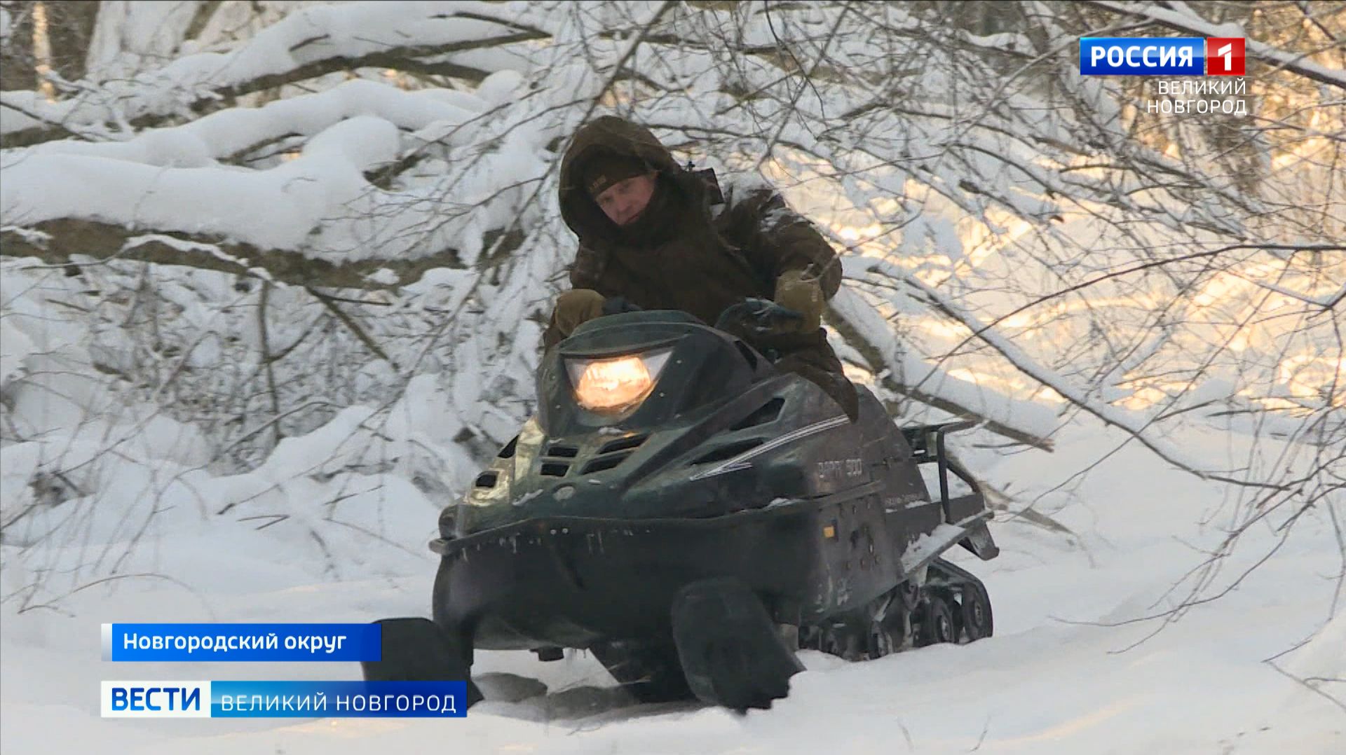 ГТРК СЛАВИЯ Зимний маршрутный учёт диких животных 06.02.26