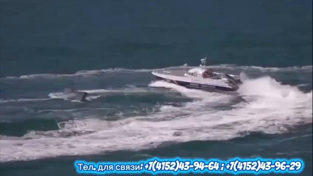 видеоролик защищай Родину Арктика