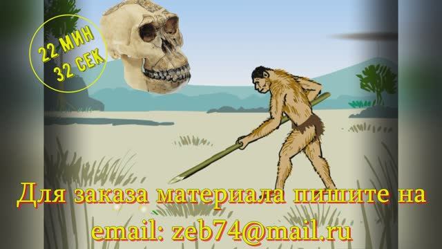 Антропогенез. Стадии эволюции человека.