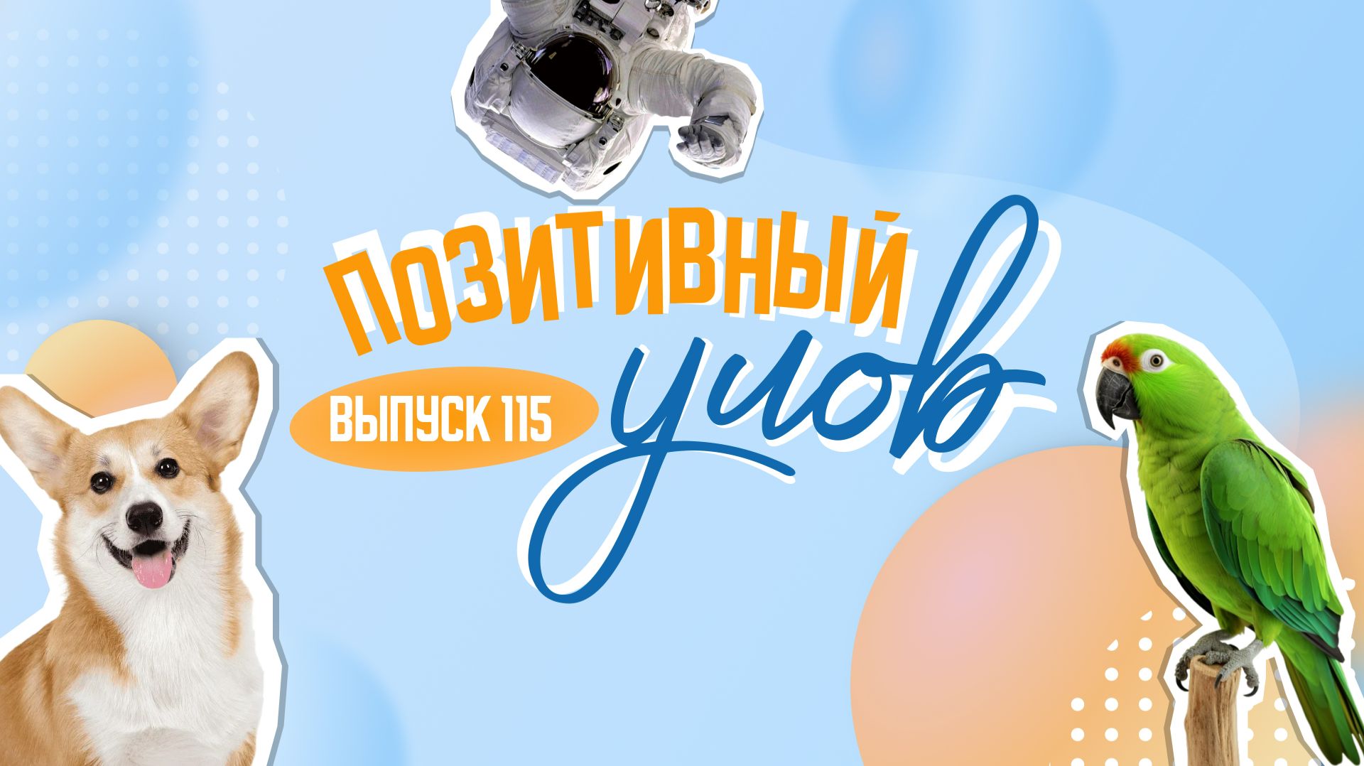 Попугай-стоматолог и человек-игрушка. "Позитивный улов"