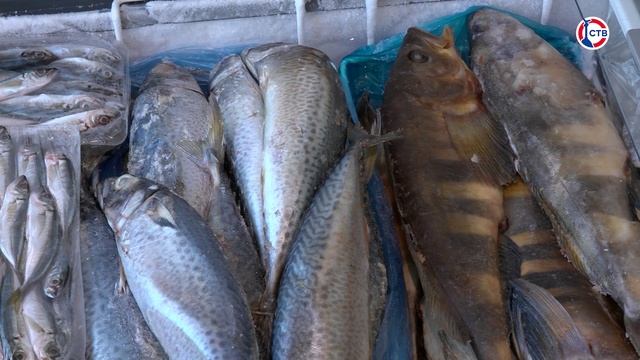 К социальной акции «Рыбный день» присоединяется всё больше севастопольских магазинов