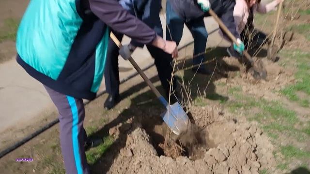 Вечерний выпуск новостей от 06.02.26