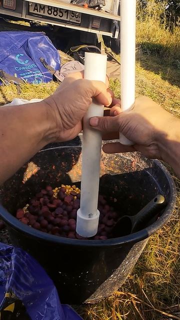 Прикормка на карпа и амура