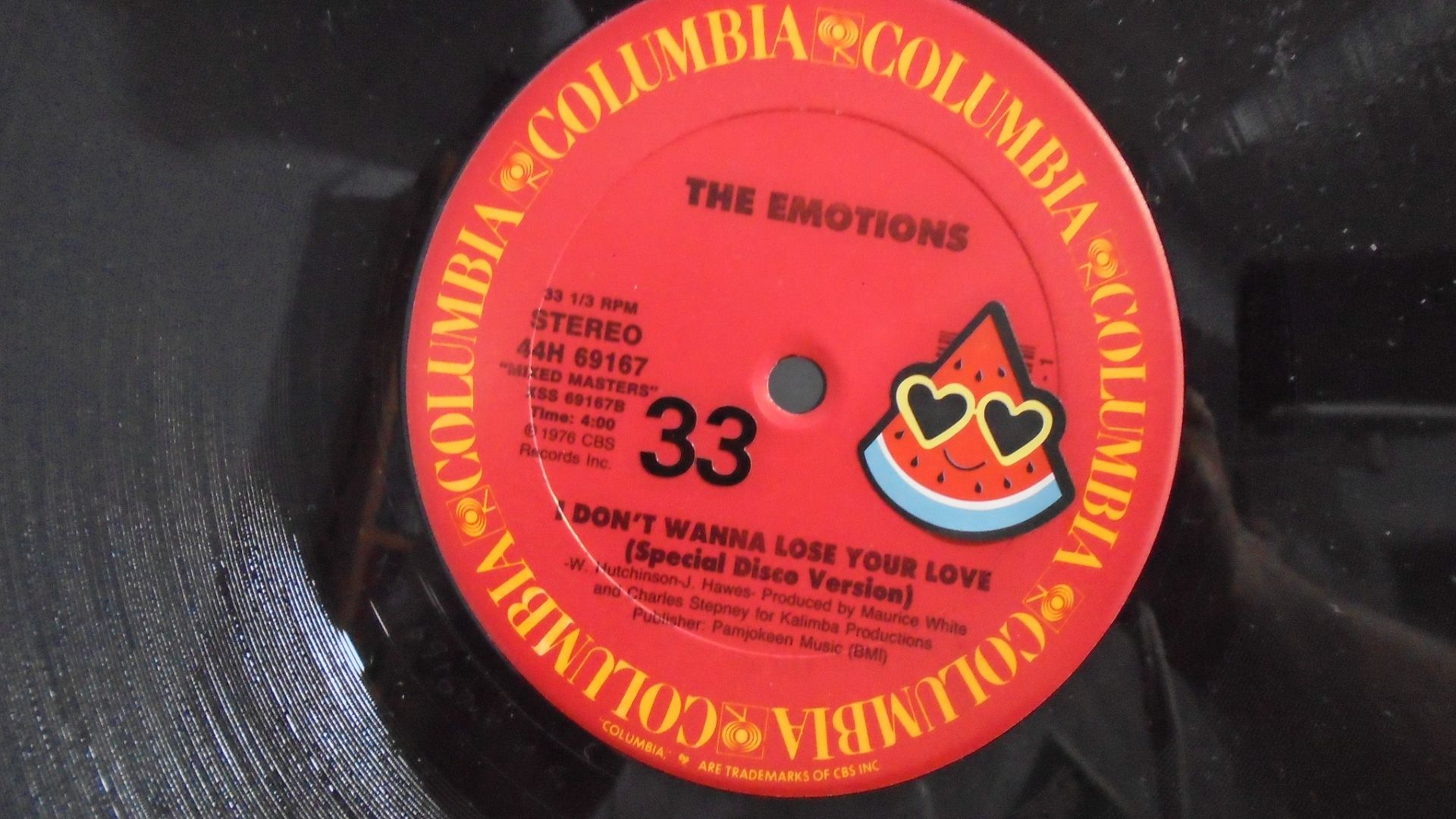 the EMOTIONS ~ I Don't Wanna Lose Your Love