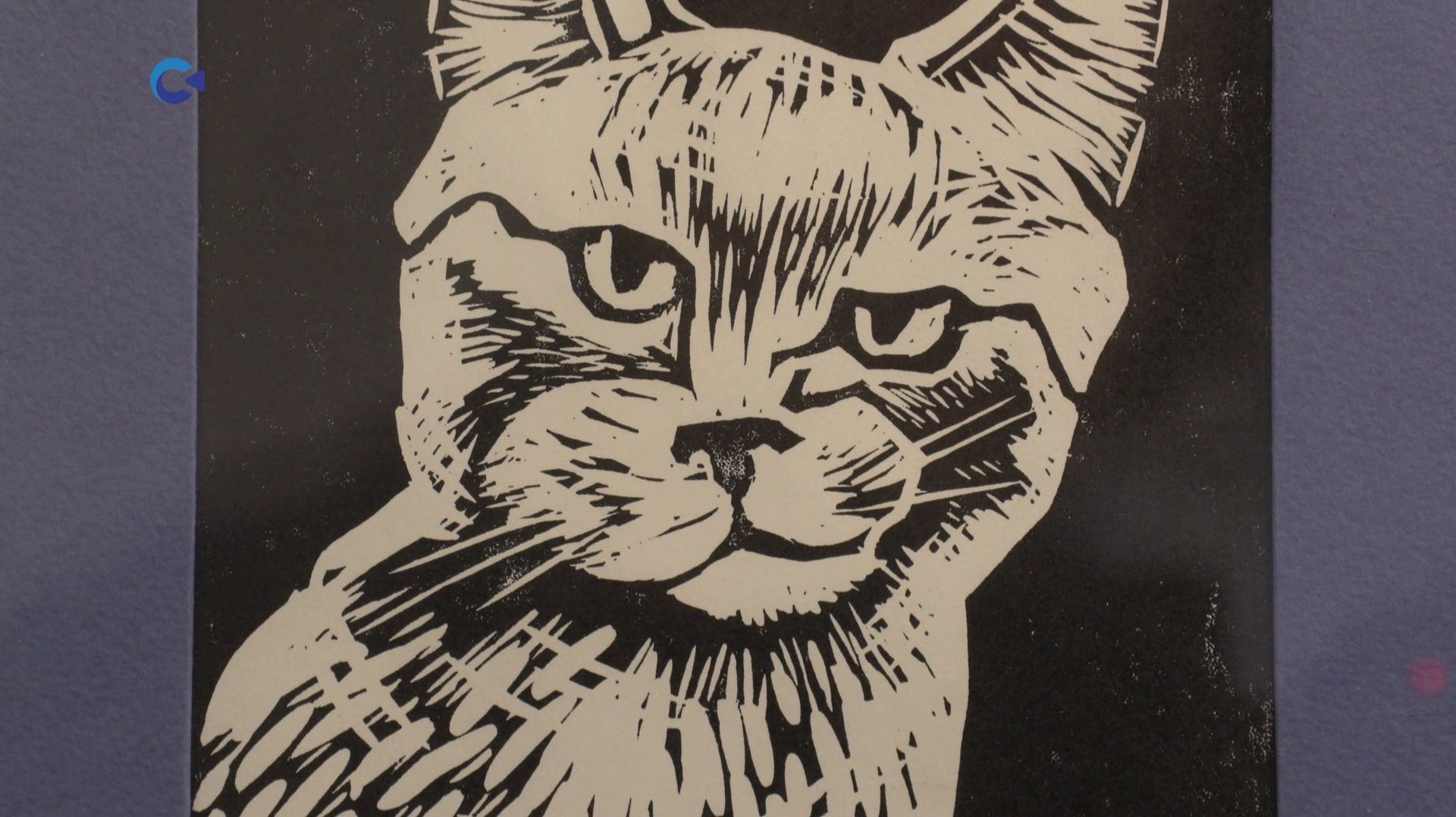 В Петрозаводске открылась выставка художницы Жанны Свиридниковой «КотоОбразы»