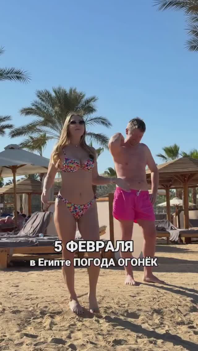 Египет 5 февраля