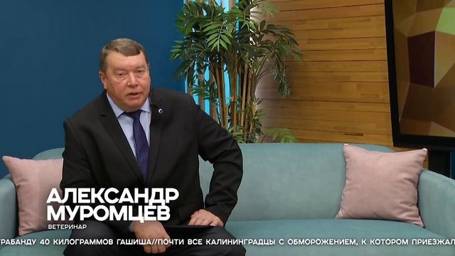 СЕГОДНЯ УТРОМ #7500, 6 февраля 2026