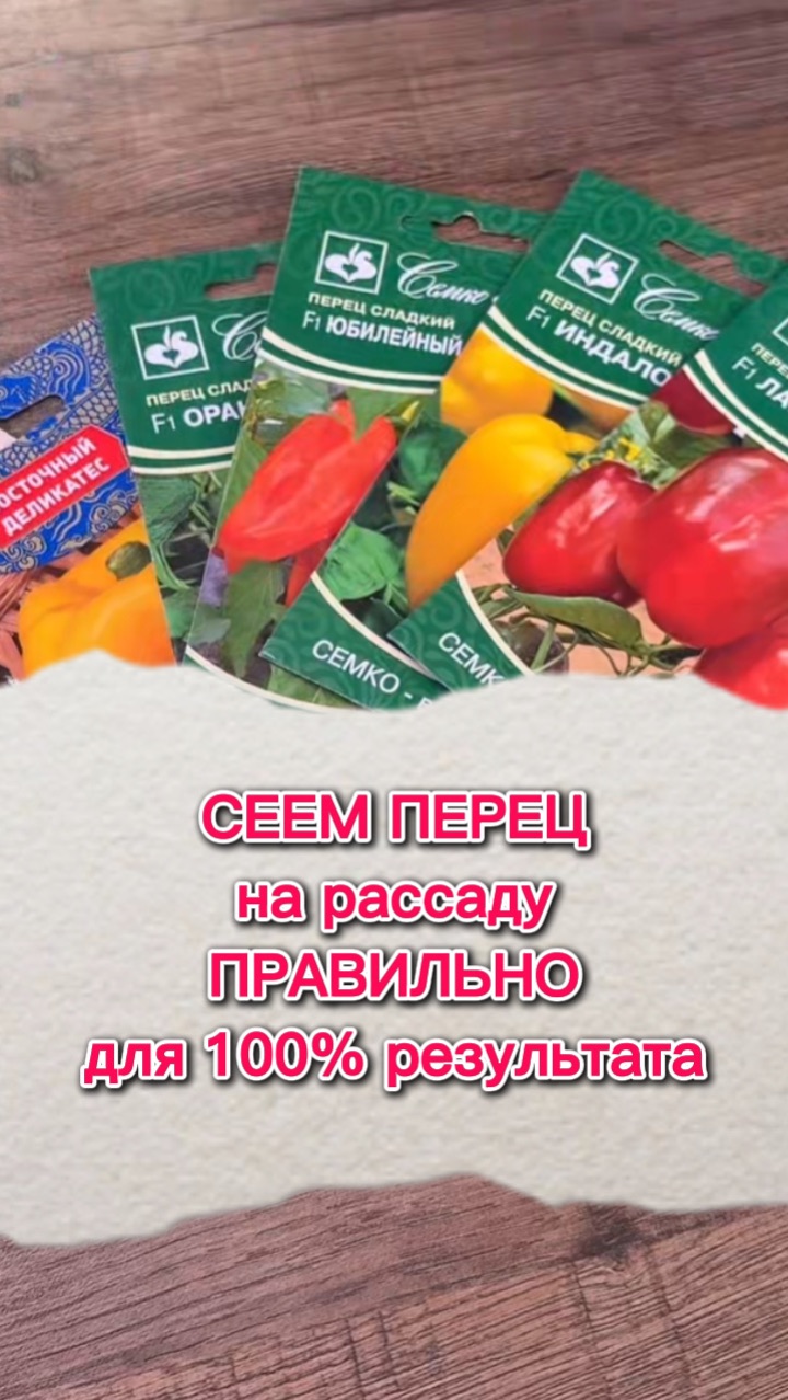 Сею так и результат всегда на 5+! #рассада #рассадаперца #самсебеагроном #срокипосева