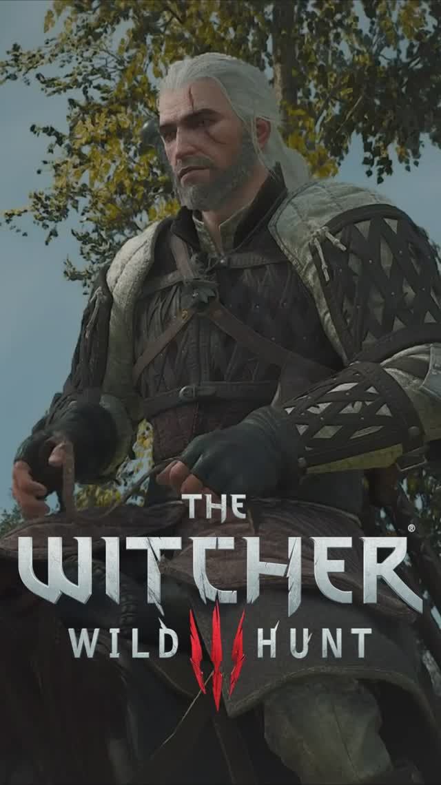 ОНИ просили денег. Я показал ЭТО... The Witcher 3 - Wild Hunt