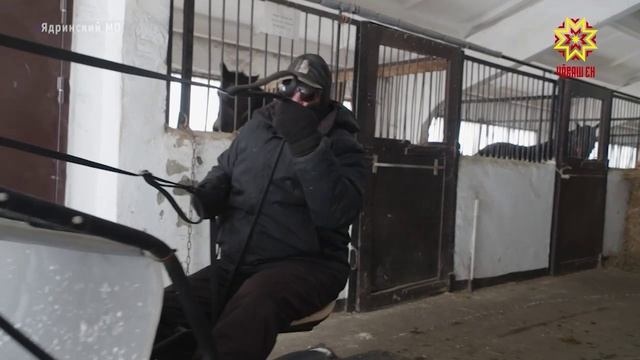 Столетний юбилей Чувашского конного завода ознаменуется Большим кубком Главы Чувашии