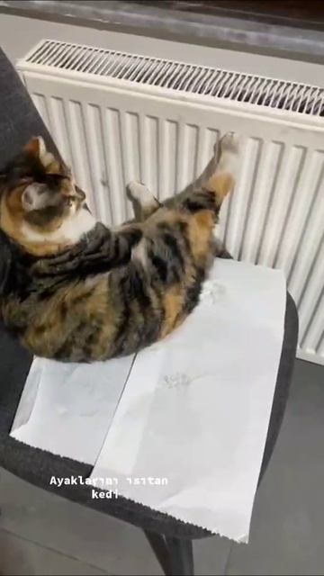 Максимальный комфорт