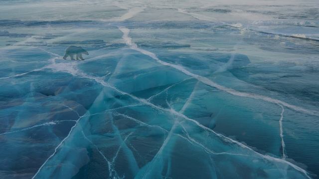 Океанские течения и ледники: взаимосвязь