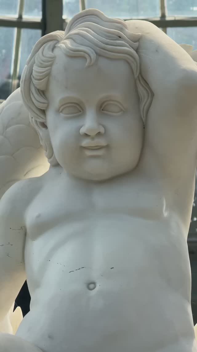 Дом бабочек острова Винперл #vietnam