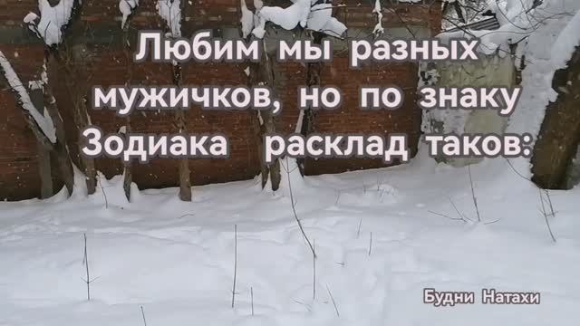 Знаки зодиака.Веселое сравнение! Взаимоотношения.